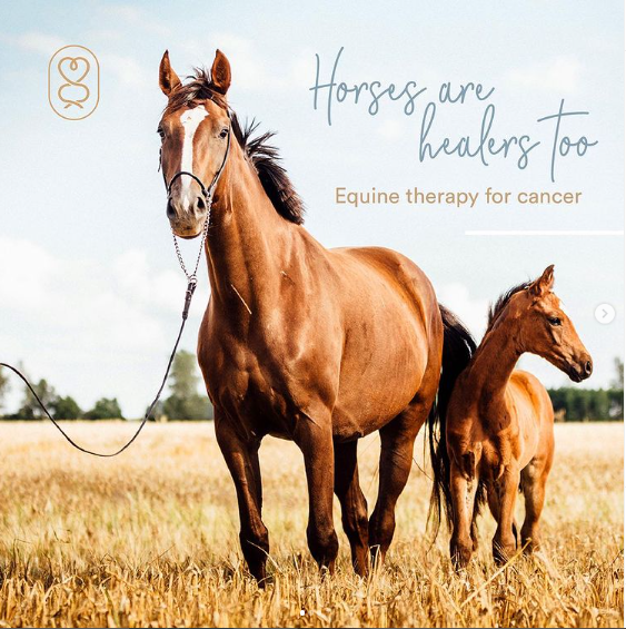 Equine therapy for cancer – maiwecare
